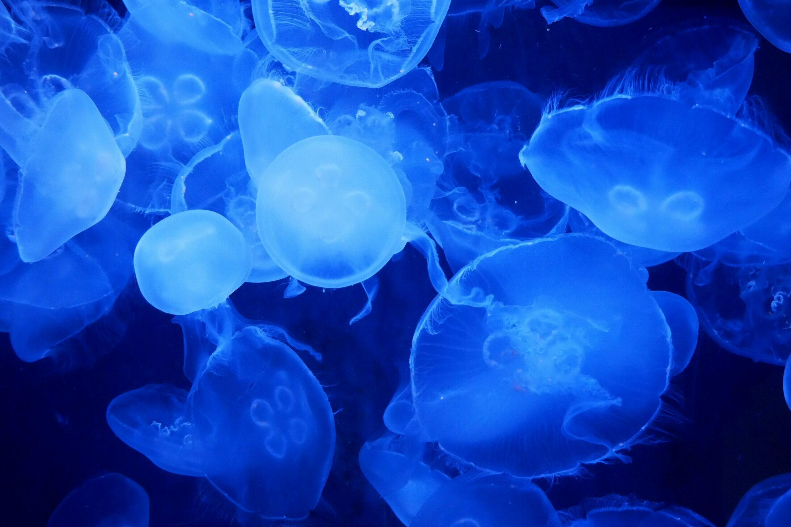 Data Storage And Analysis Solution For Computational Biology Group Arrayo